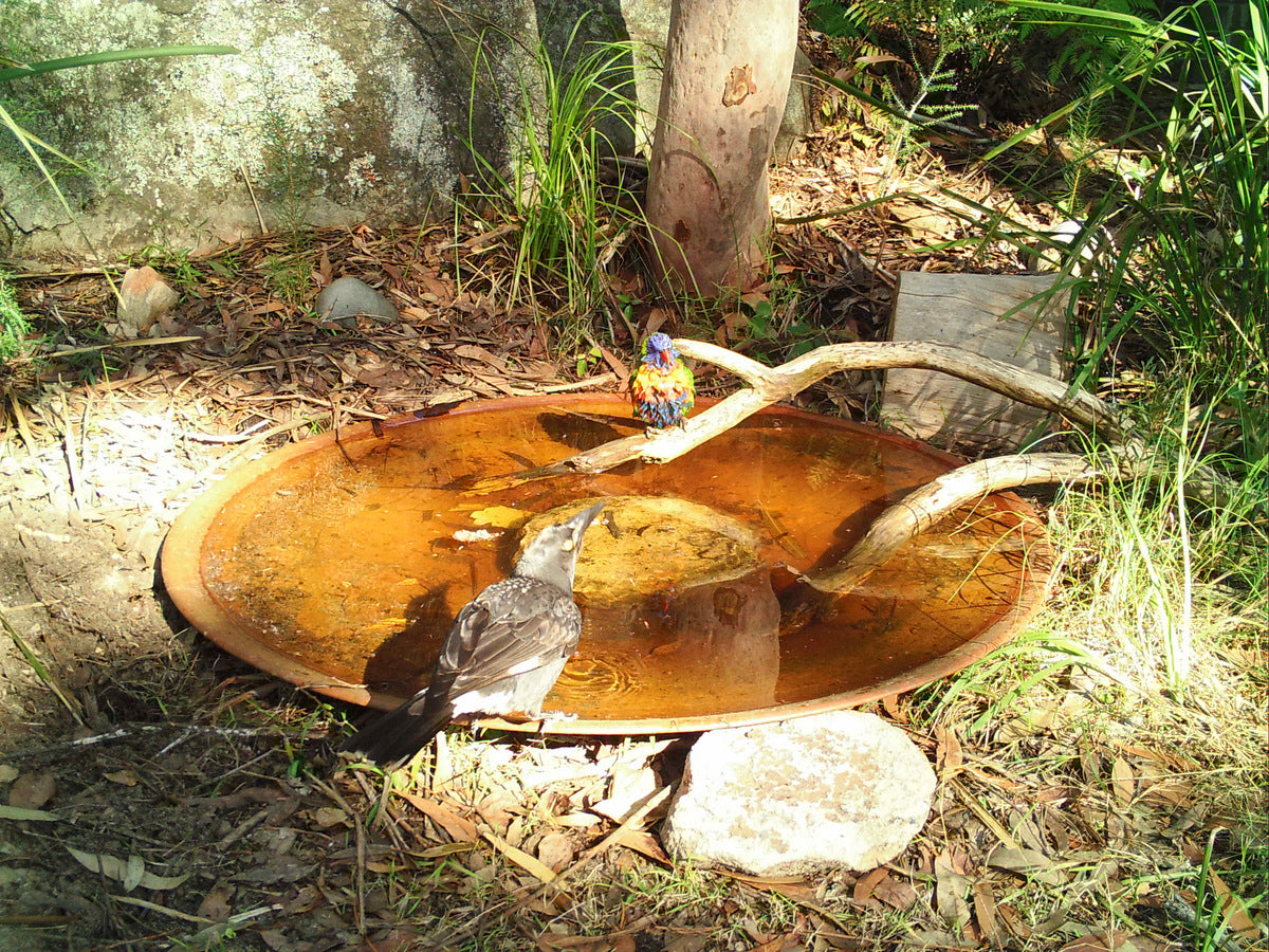 Extra-Large Spun Copper Dish – Mallee Bird Baths and Water Bowls